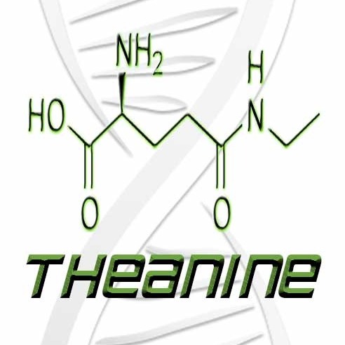 L-Theanine 🍵 The Nootropic ingredient of green tea that delivers ...